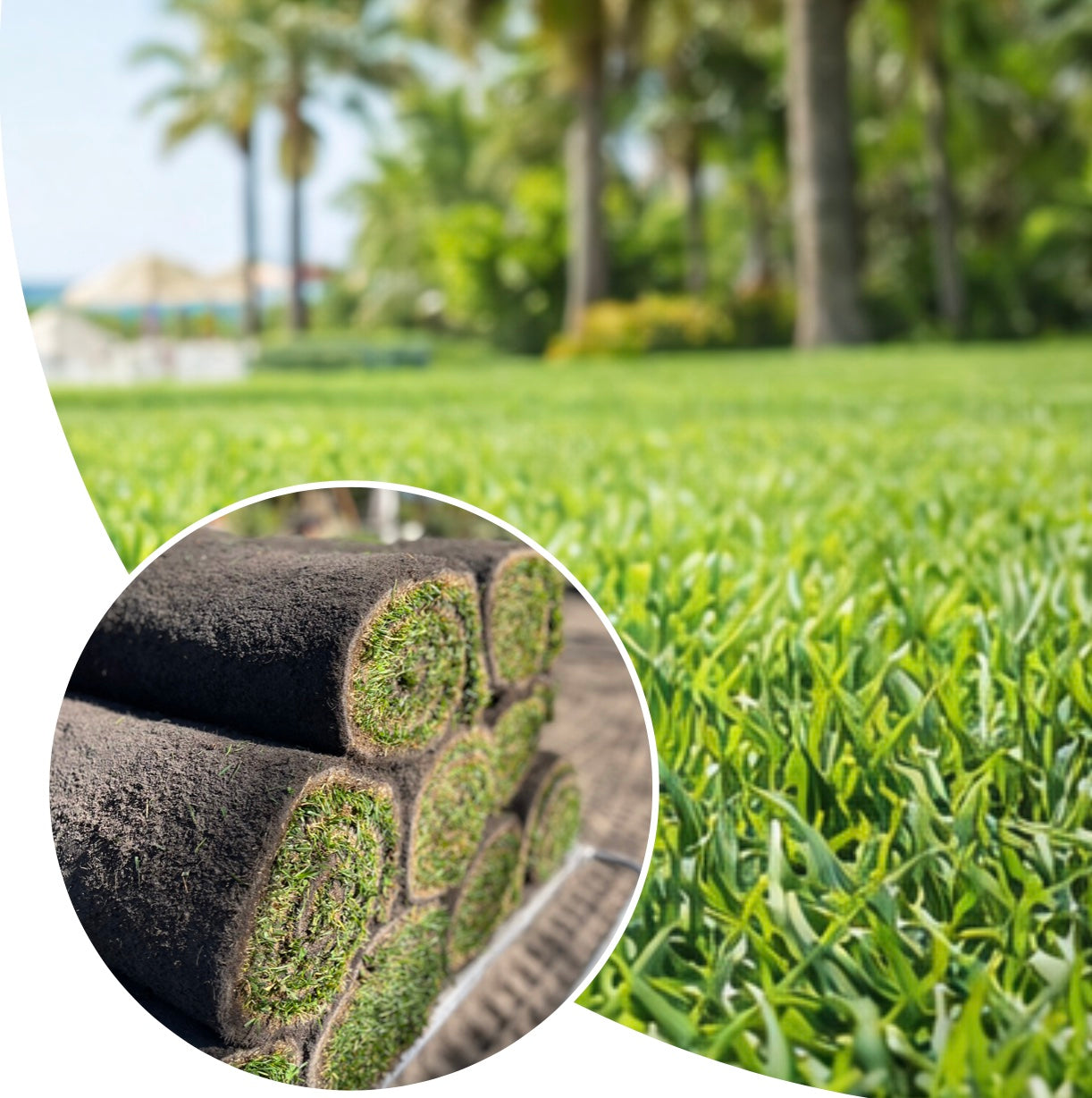 Gazon Naturel Natural Park Extrême - Covergarden – covergarden-store